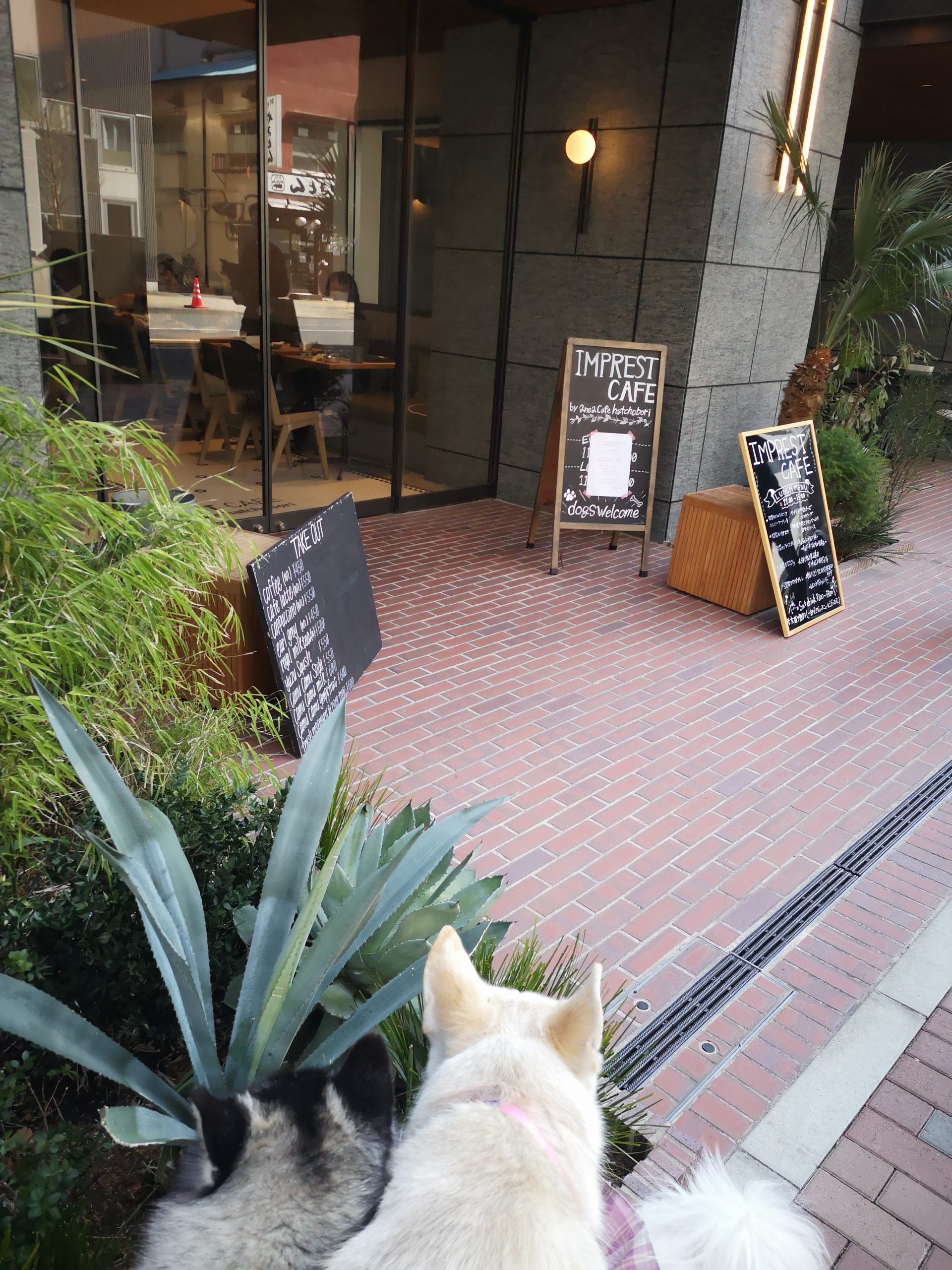 【大型犬や猫も店内OK】八丁堀にあるIMPREST CAFE by anea cafe hatchobori